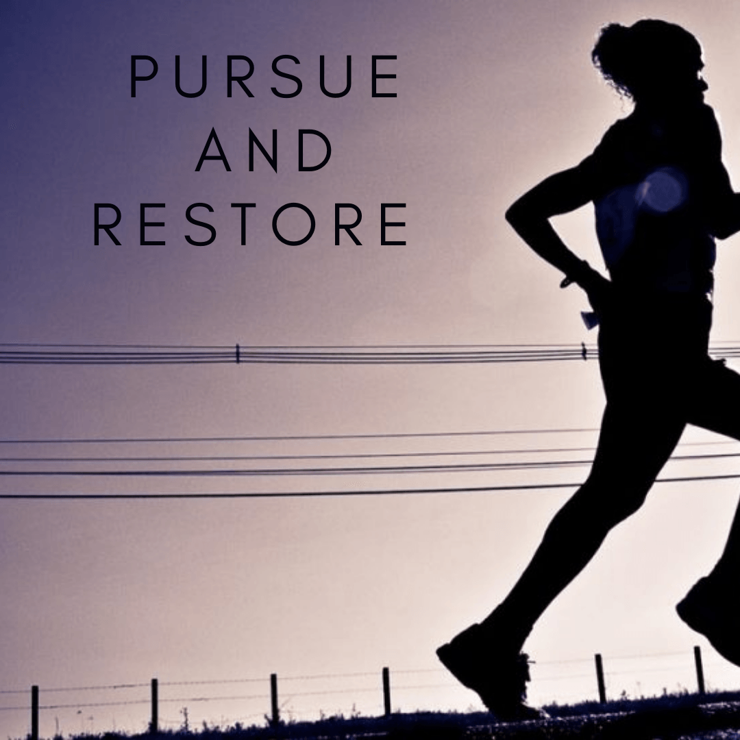 Pursue and Restore