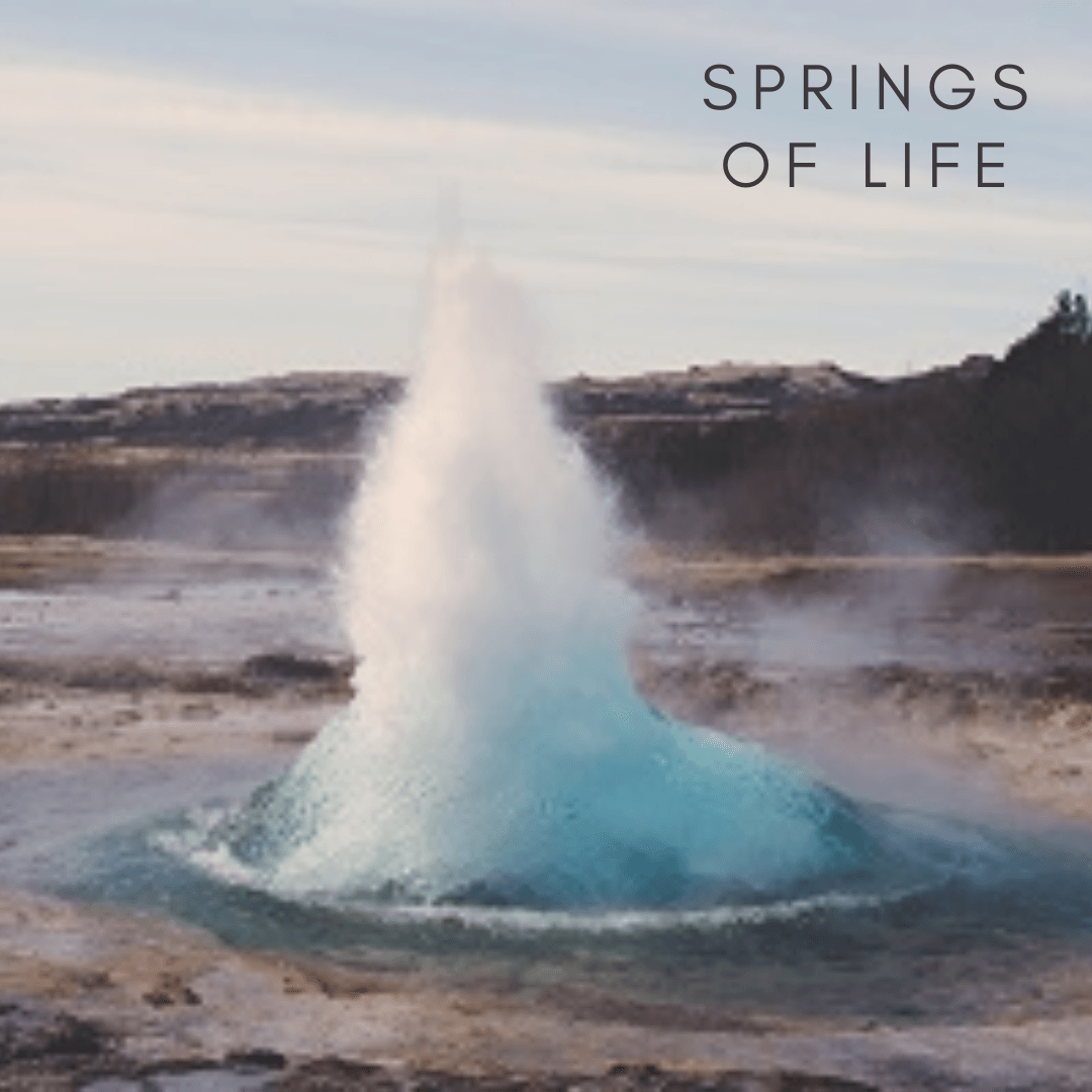 Springs of Life