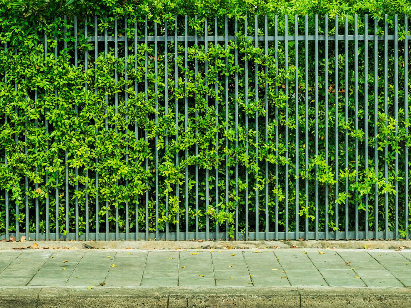 School Fencing & Railings Nottingham - Nottingham Fencing