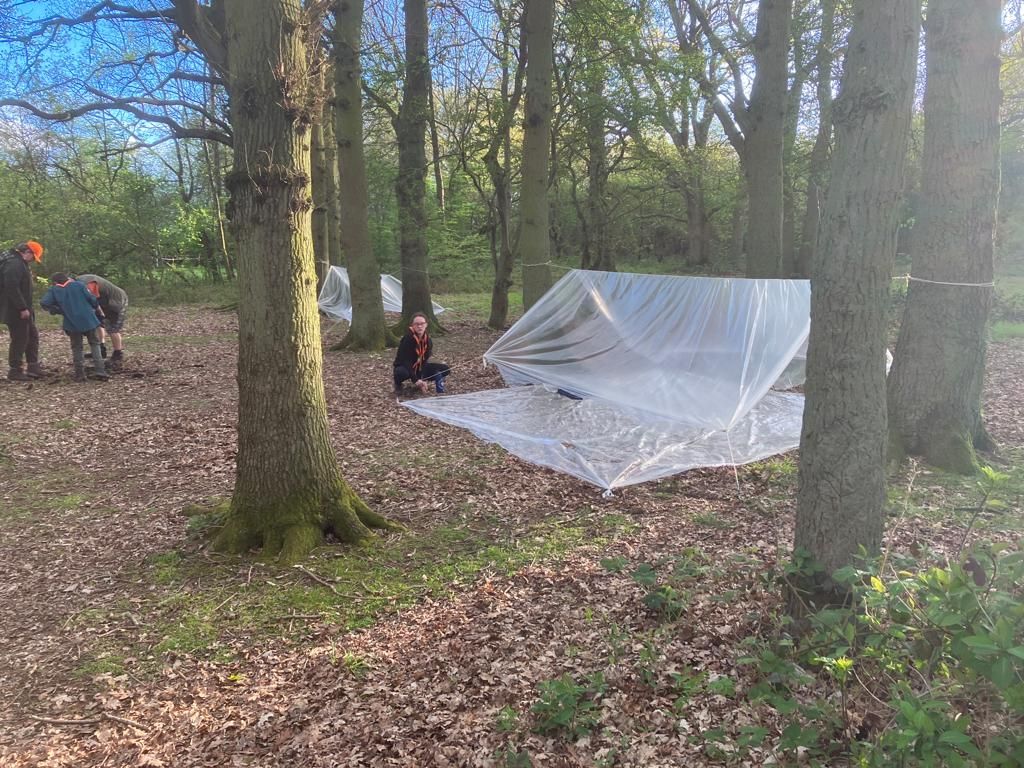Scouts’ Survival Camp