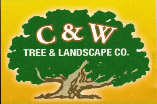 Tree Trimming | Martinez, CA | C&W Tree & Landscape Co