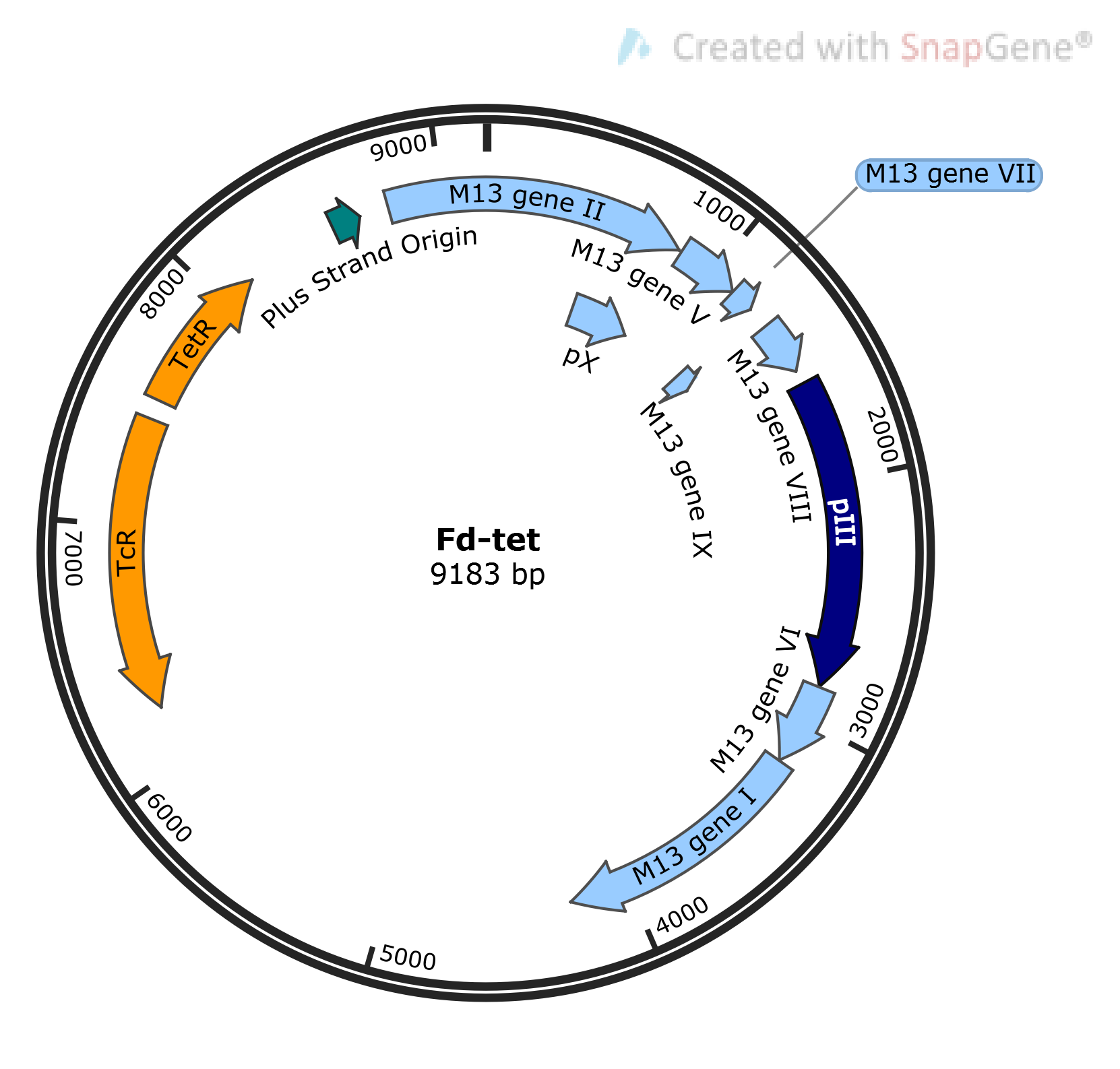 Cell Origins Phage Display Lab Solutions