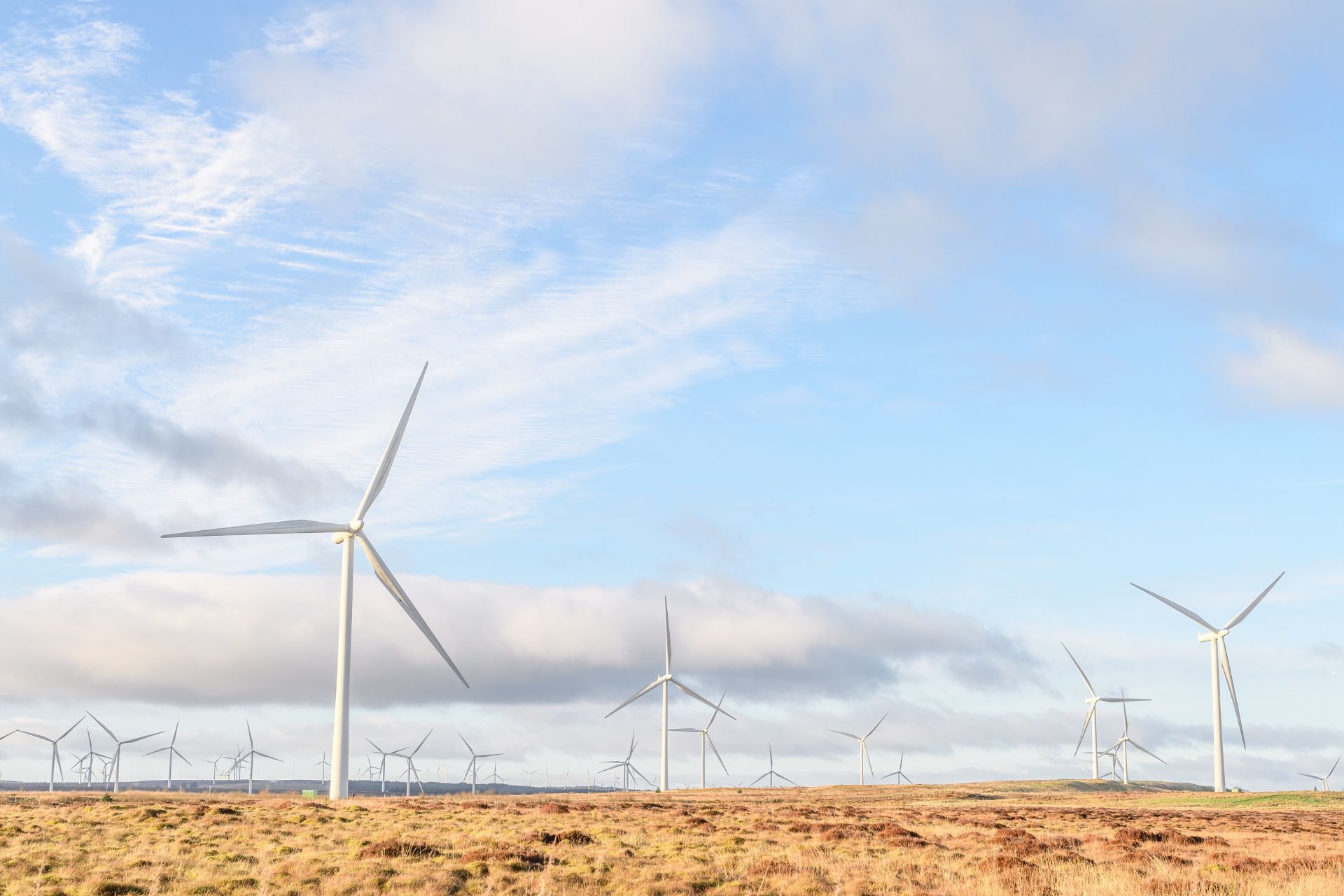 Wind Farm Insurance (Cost & Coverage)