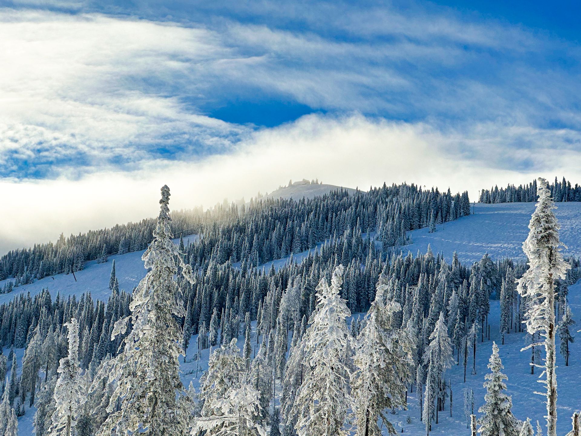Mt. Spokane Home Page