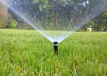 Tulsa's Leading Lawn Care & Pest Control