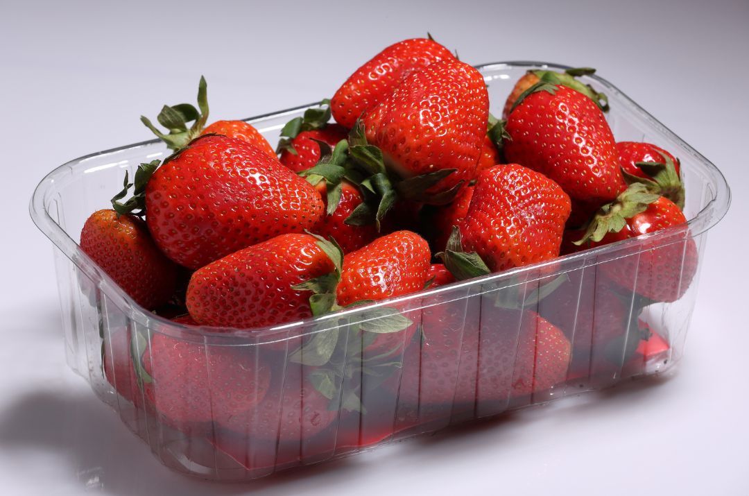 Understanding FDA LNO Process for Recycled Plastics in Food Packaging