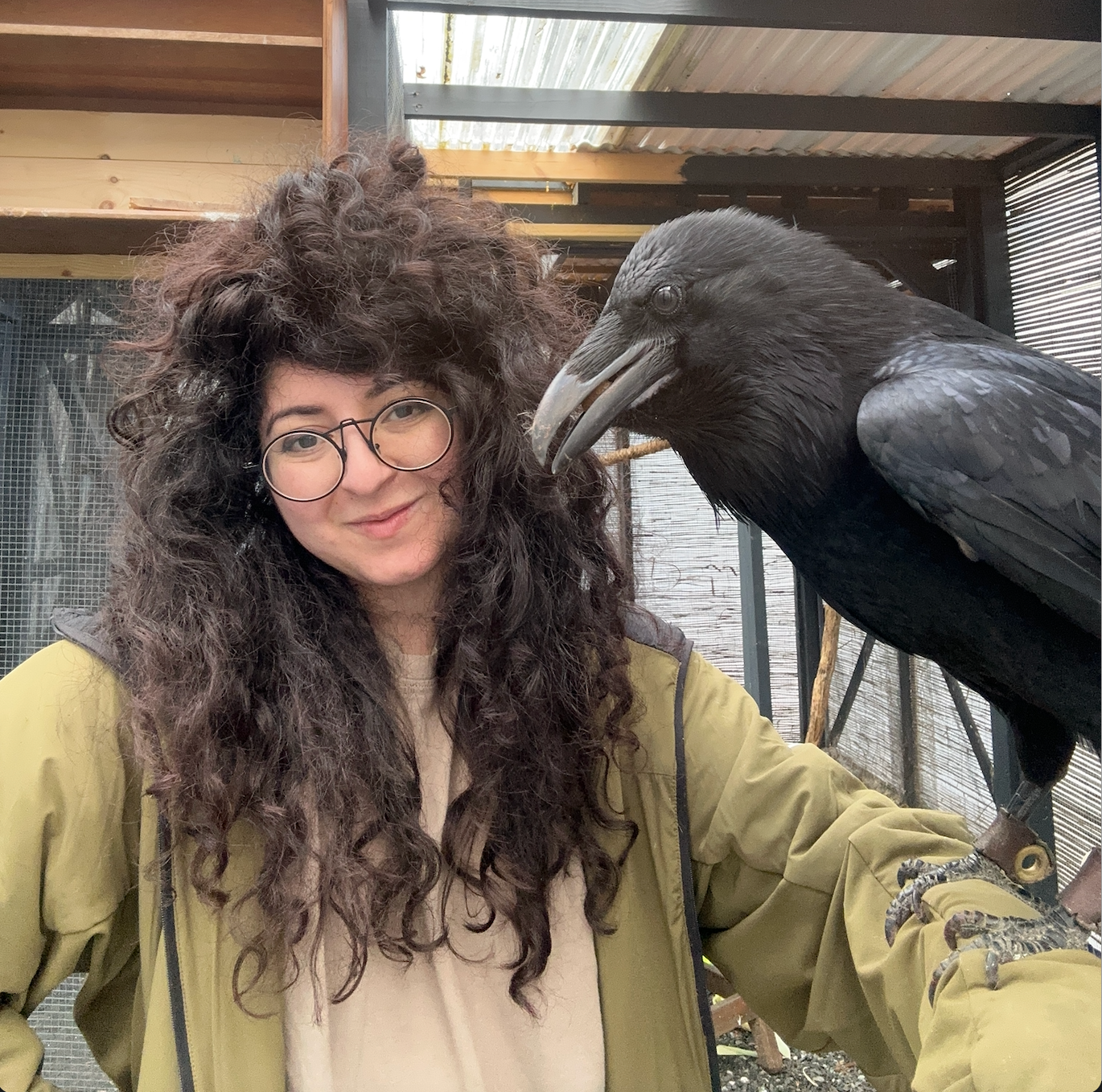 Congress of the Birds