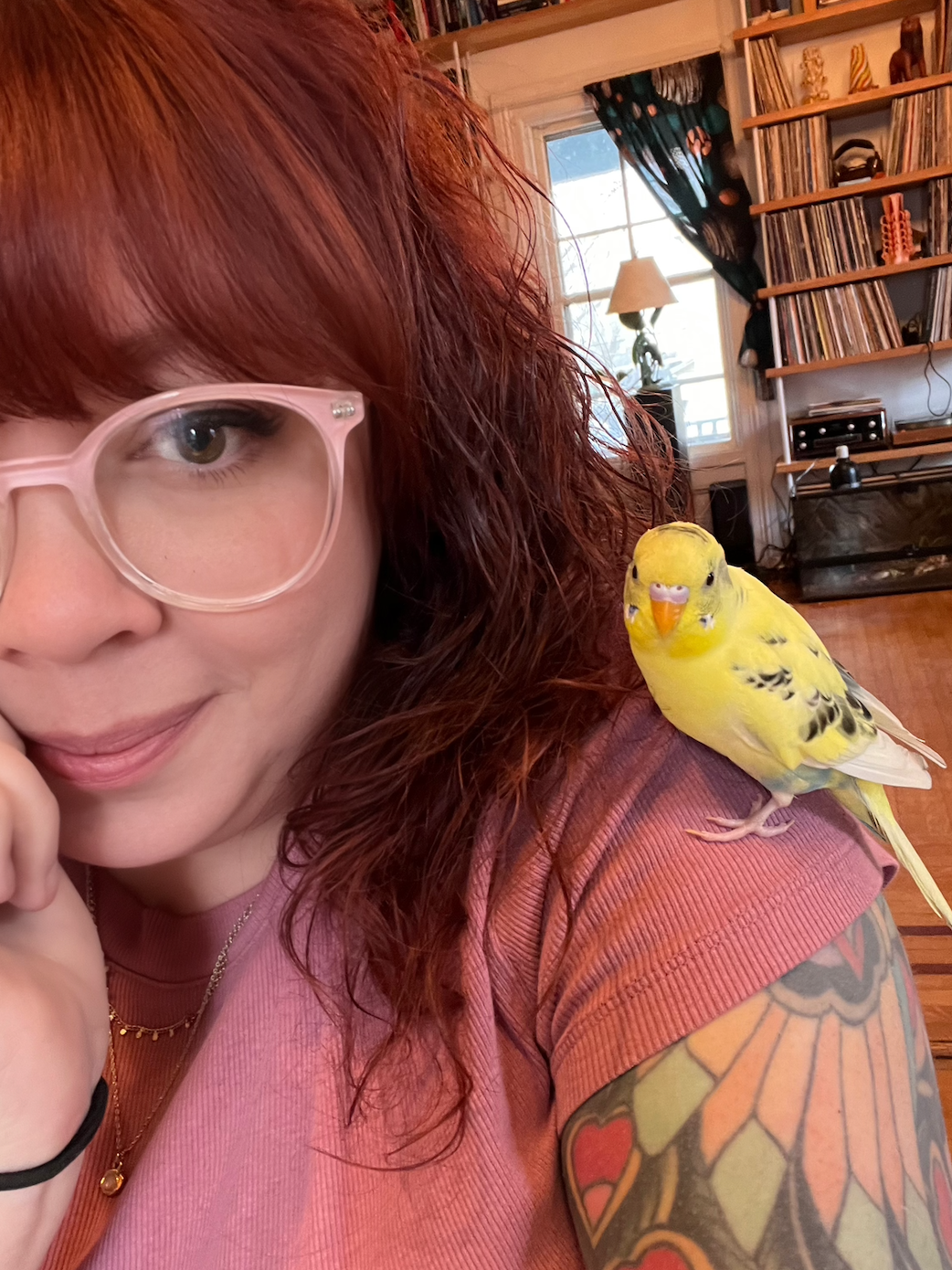 Congress of the Birds