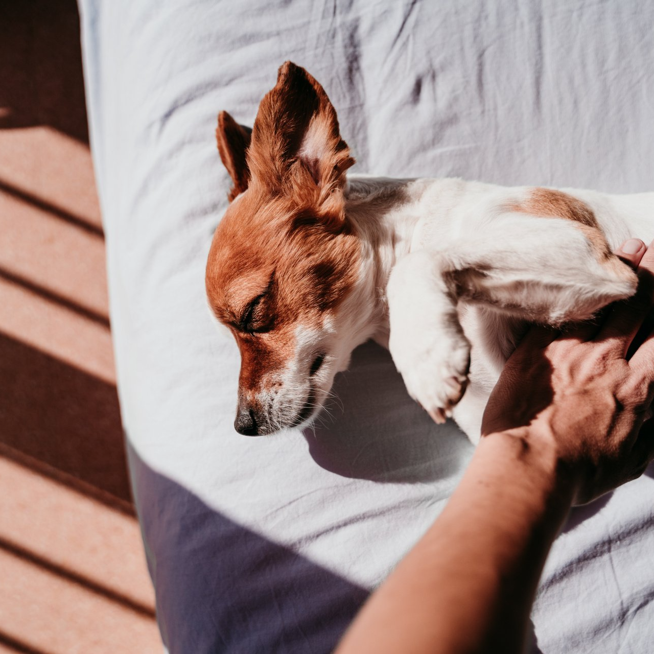 Ivy at SOCO | Modern Grand Forks Apartments