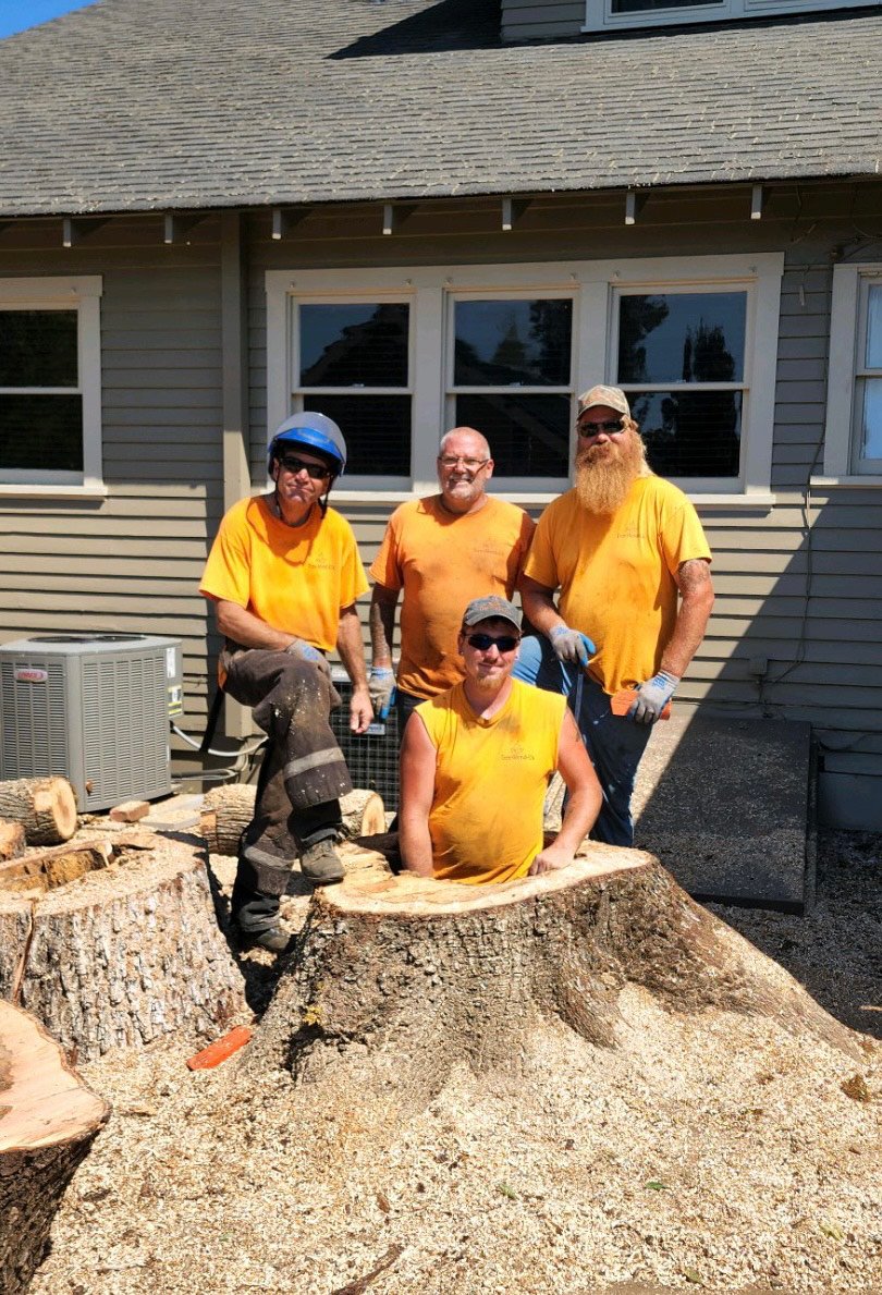 Trees | Medford, OR | Tree-Mend-Us