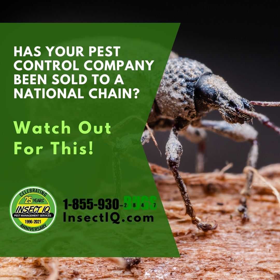 Has Your Pest Control Company Been Sold To A National Chain? Watch Out ...