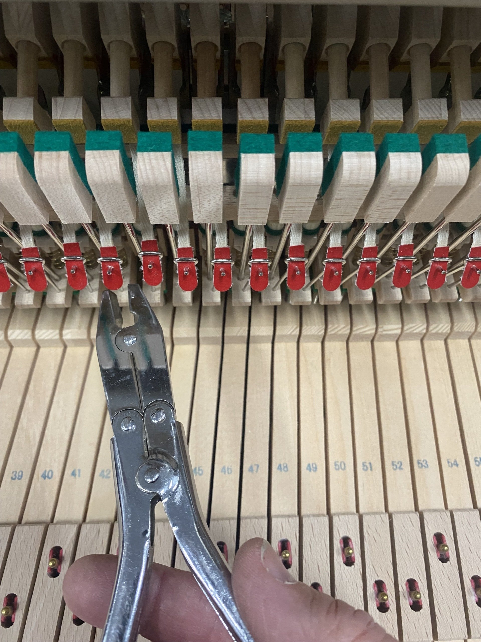 Antony Prince Piano Tuning | Piano Tuner in Mid North Coast