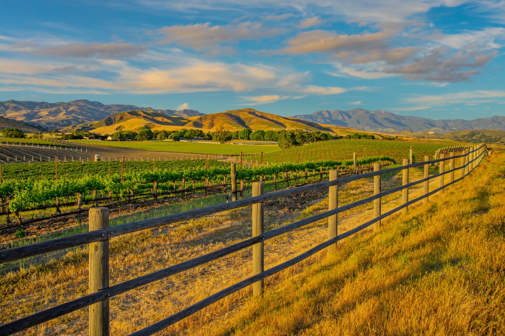 Fencing | Springfield, OH | Springfield Fence Co LLC