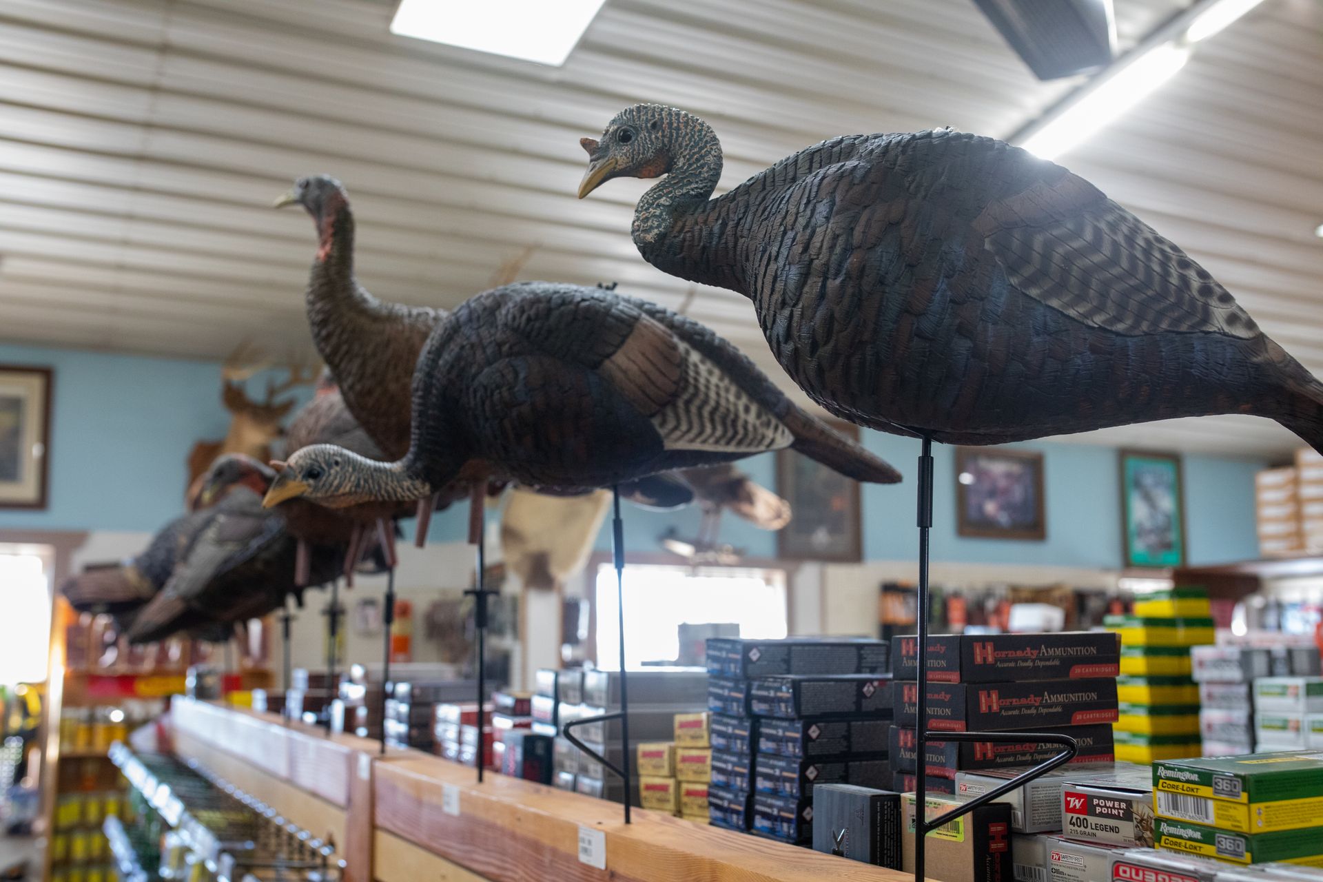 Hunting | Kidron Sports Center LLC | Archery Store