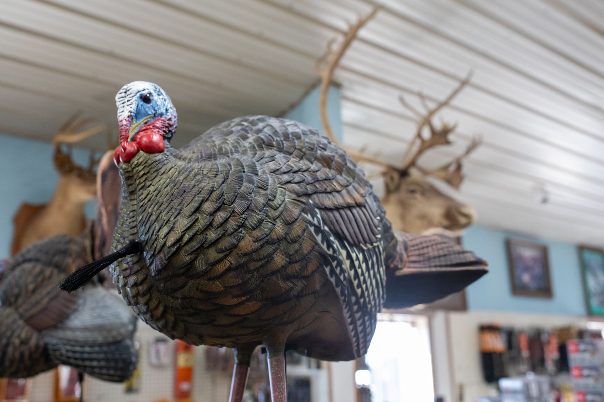 Hunting | Kidron Sports Center LLC | Archery Store