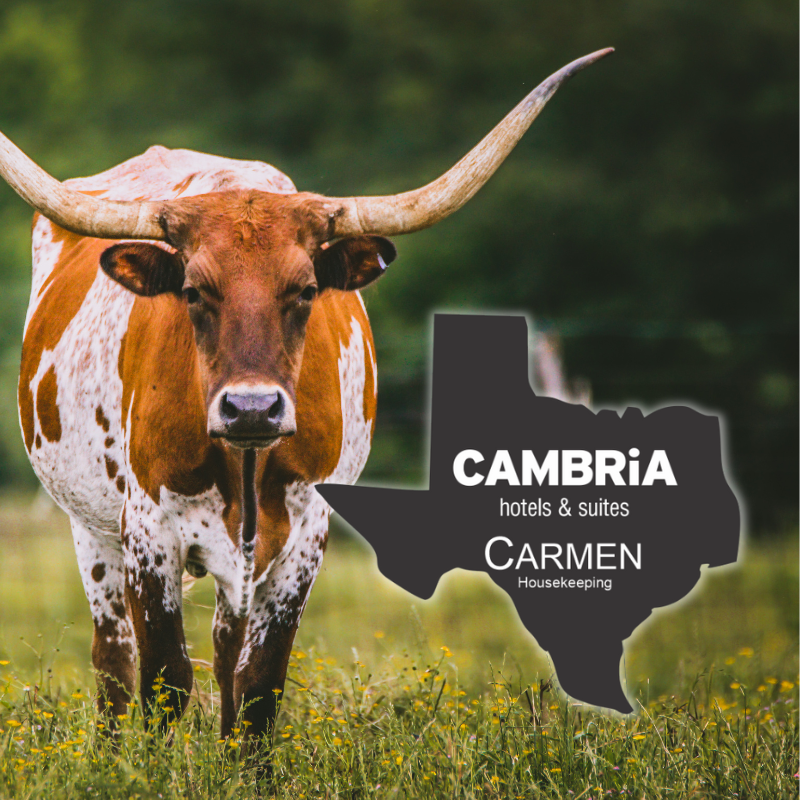 Name Tags, Badges, Personalized ID Tags | Name Tag Pros