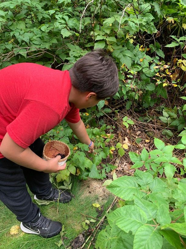 Northwoods Forest History Experience