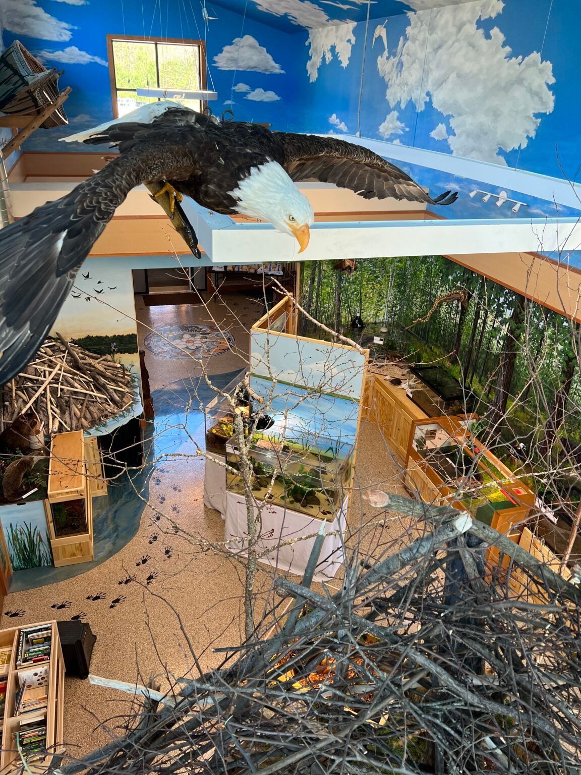 Nature Center