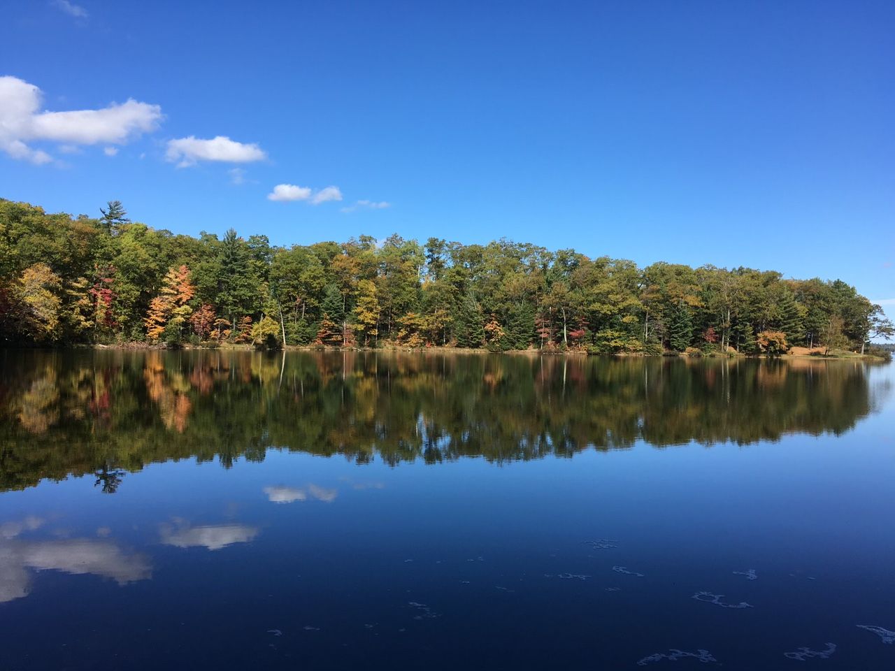 Northwoods Forest History Experience