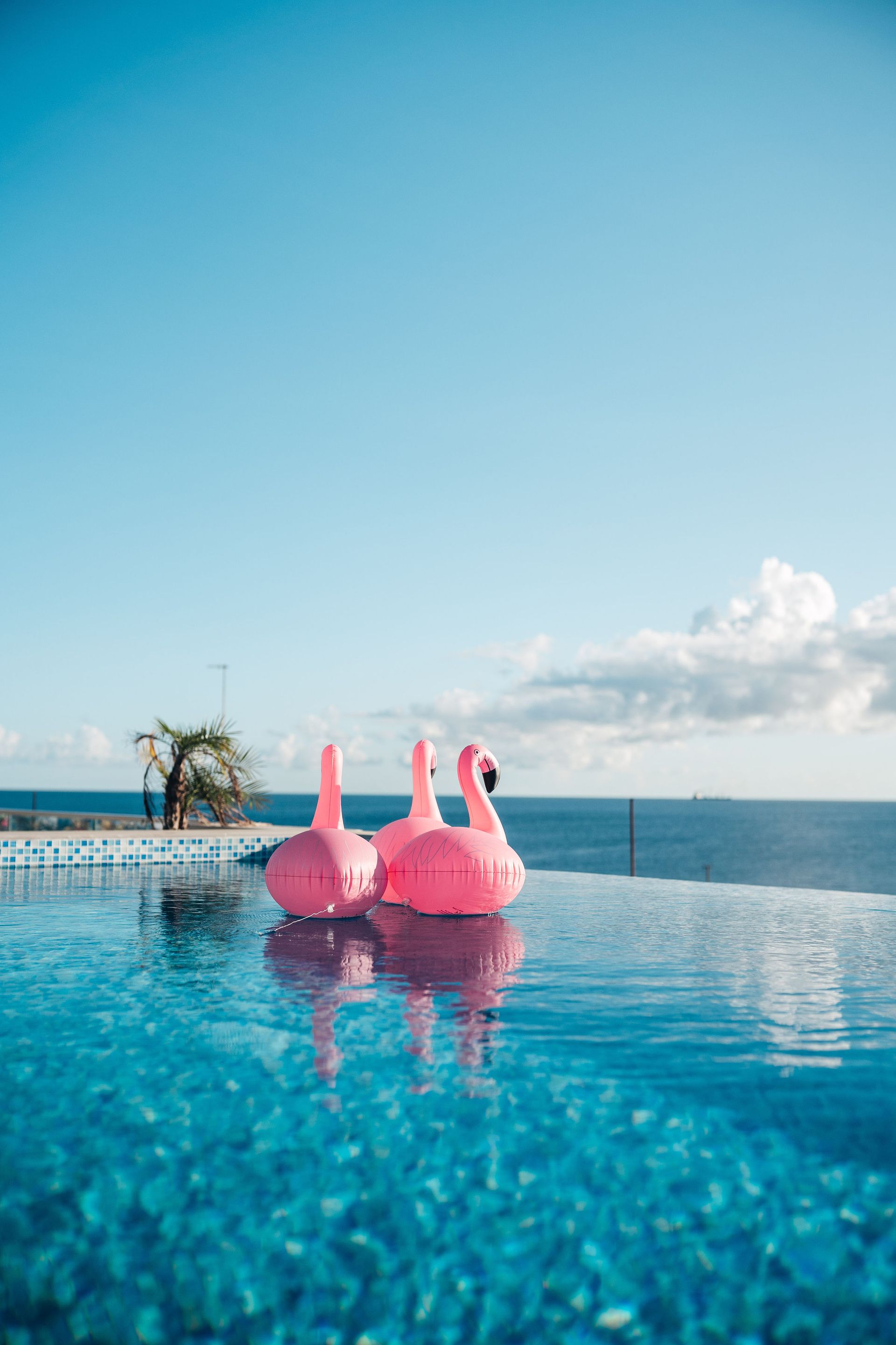 Gallery | Elements Hotel & Shops Curaçao in Punda, Willemstad