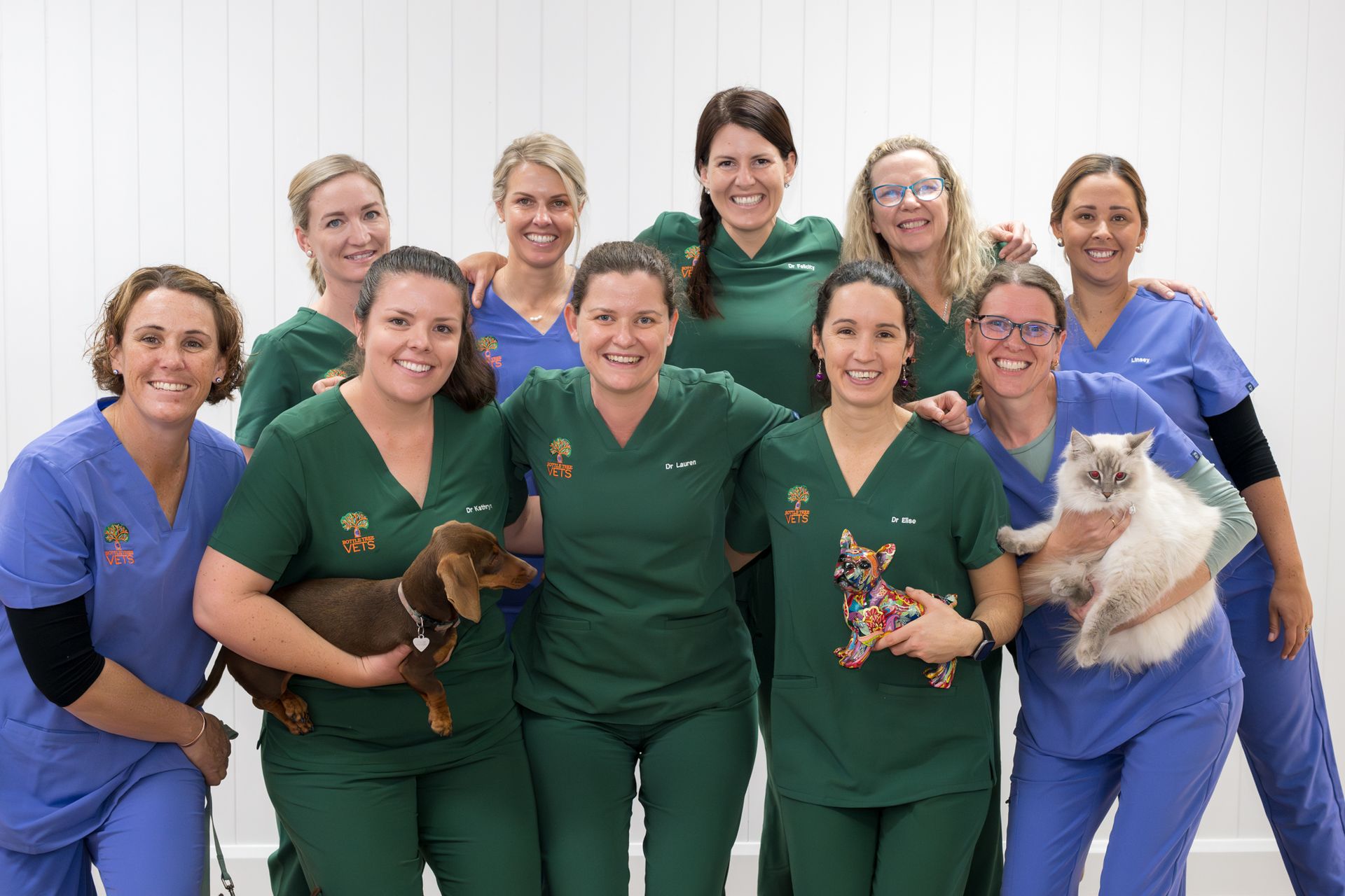 About Bottle Tree Vets