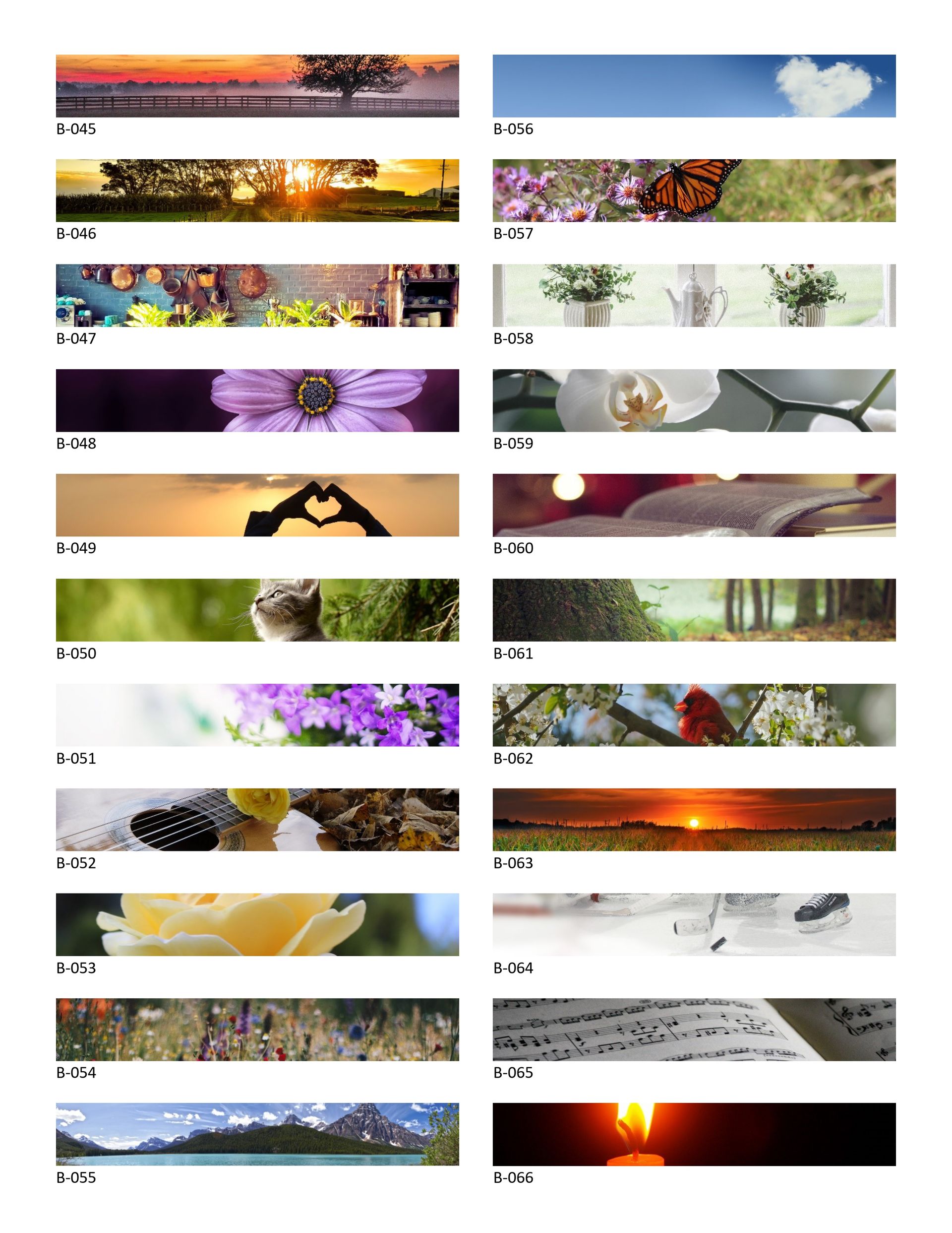 Basic Funerals and Cremation Choices | Mississauga, ON