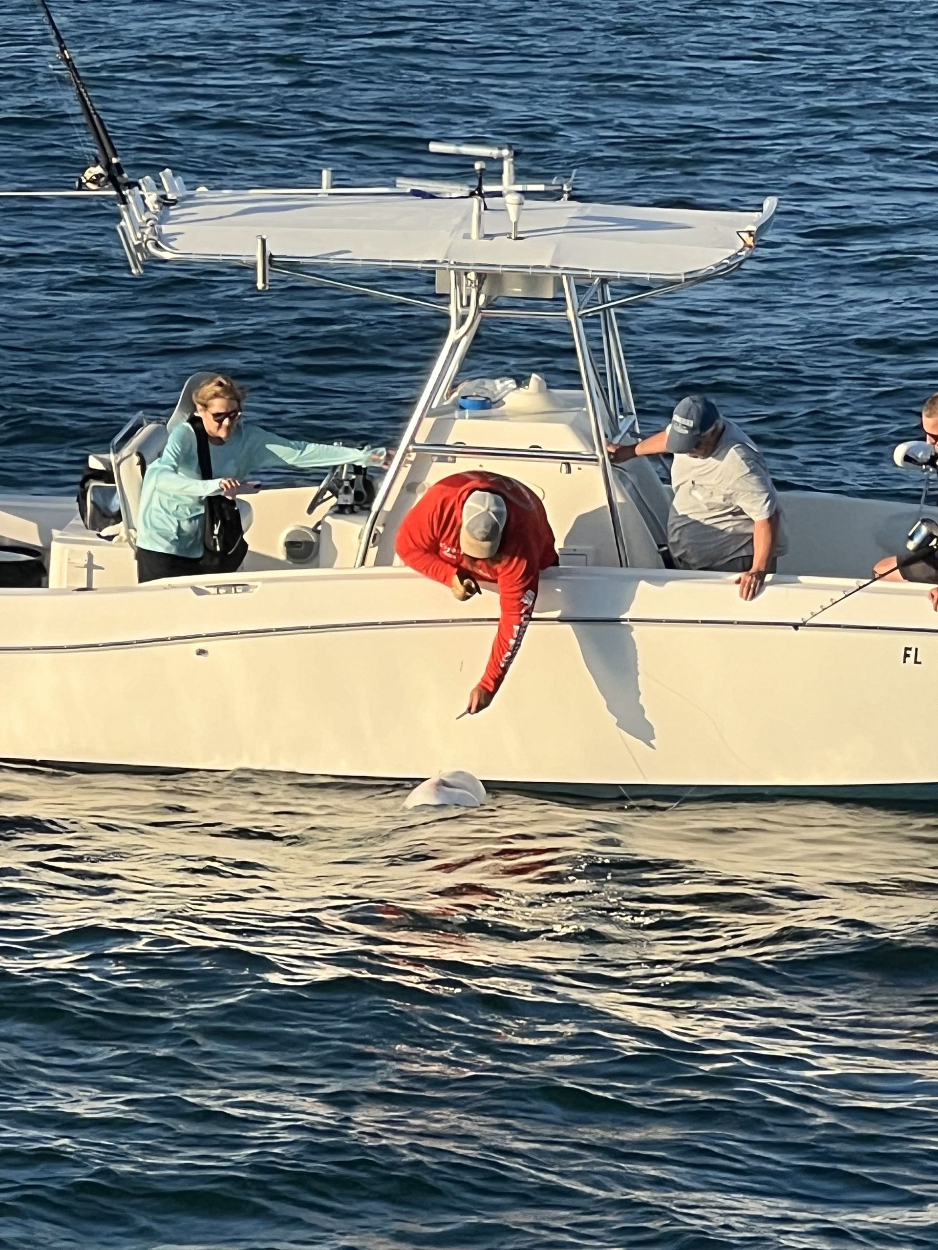 Shark Fishing Excursions | Life's 2 Short