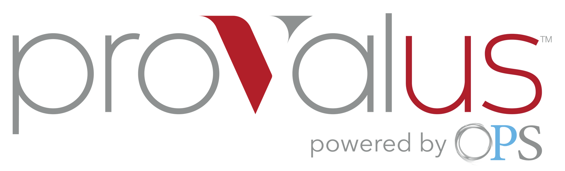 Delivering quality BPO & IT services from rural America