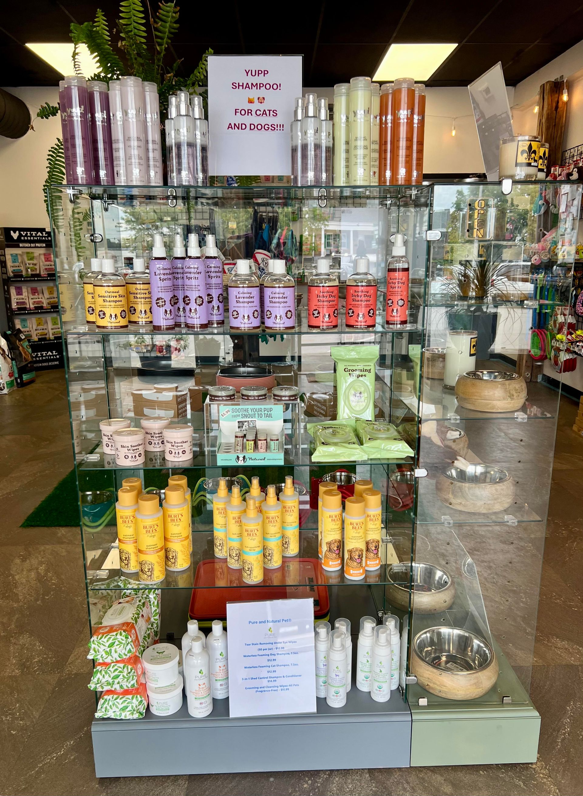 Home | The Bark & The Purr