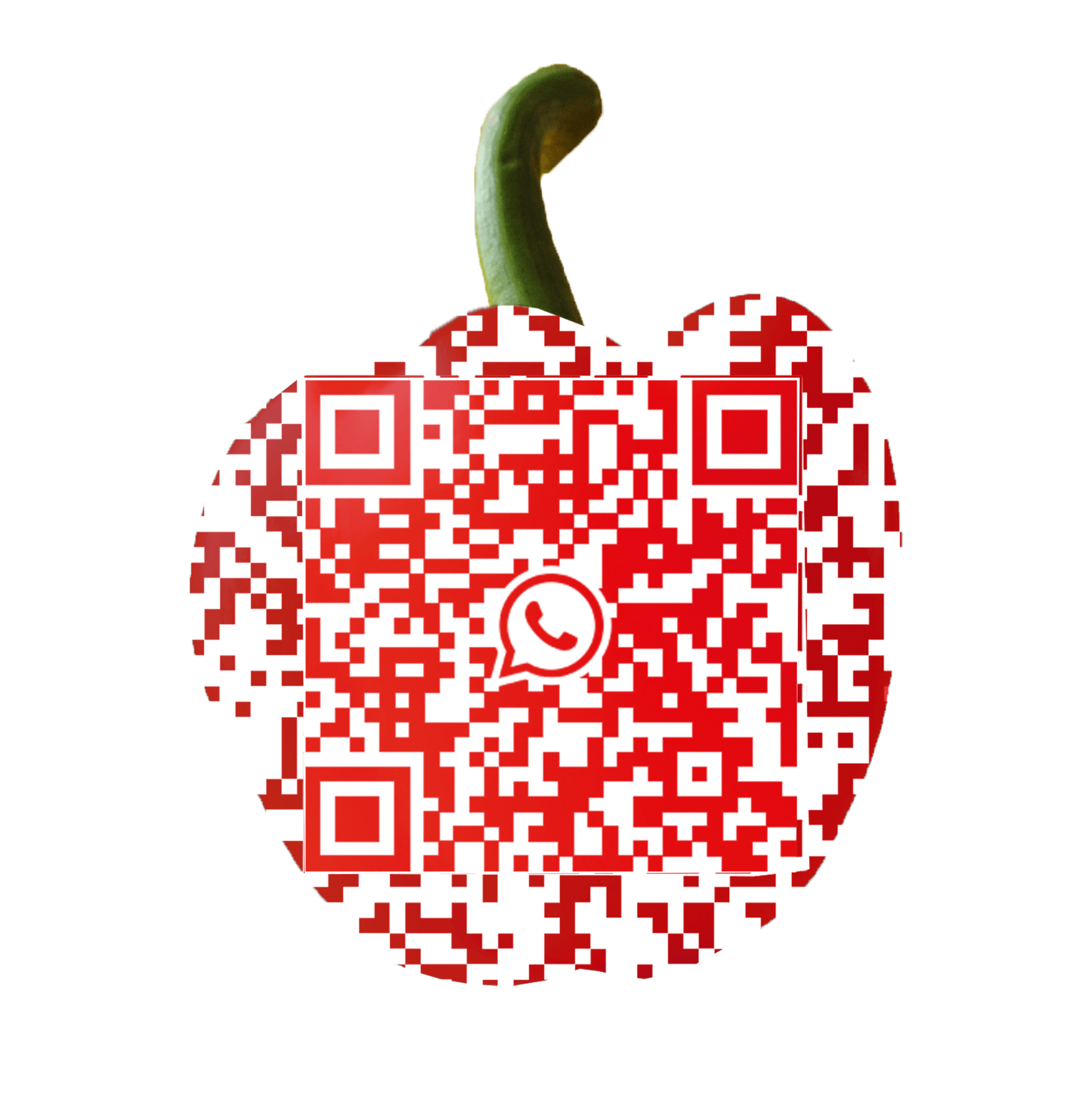 Capsicum Culinary School Menlyn - Pretoria Campus | Capsicum