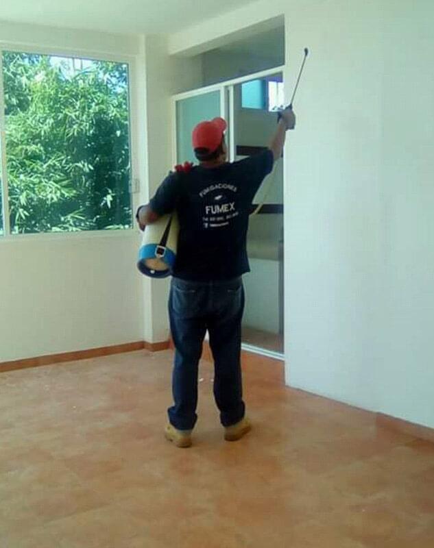 Servicios de fumigación en León – Fumigaciones Fumex
