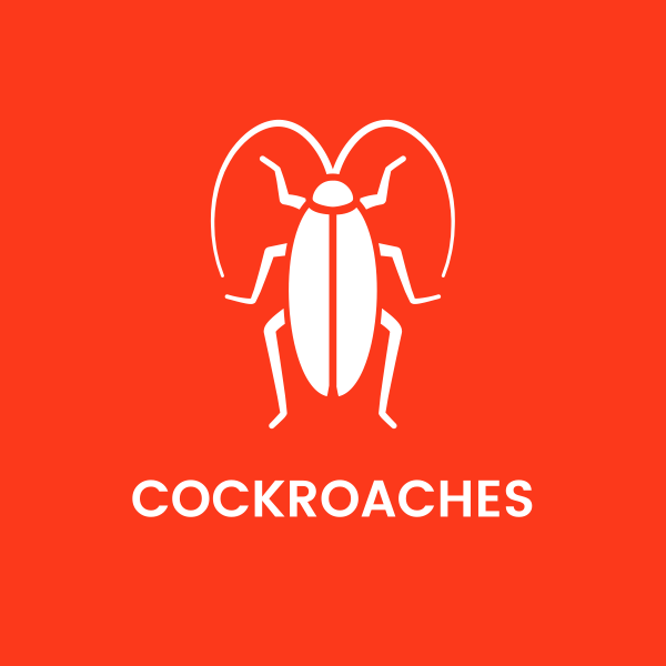 Home Pest Control | Andy Howard's Pest Control | Austin, TX