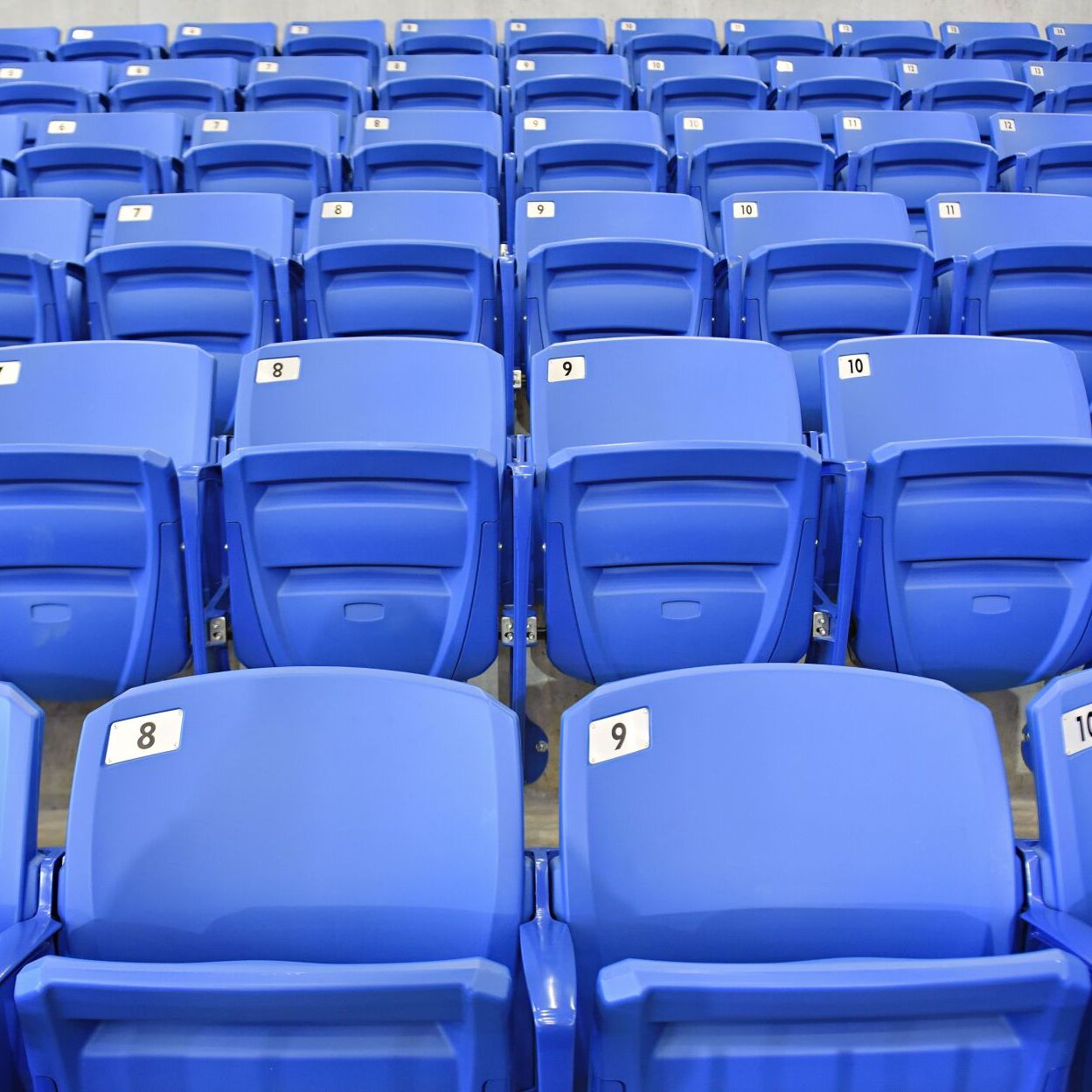 Darlington Raceway | Interkal