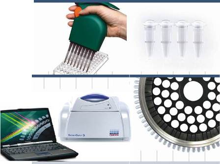 Rapid Microbiology Testing