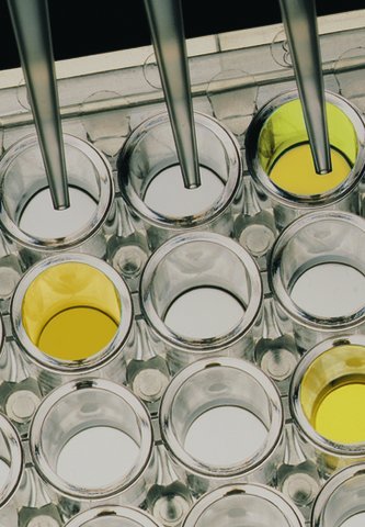 Rapid Microbiology Testing