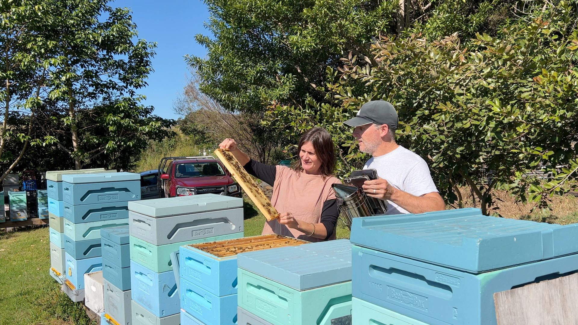 Meet the Apiarist