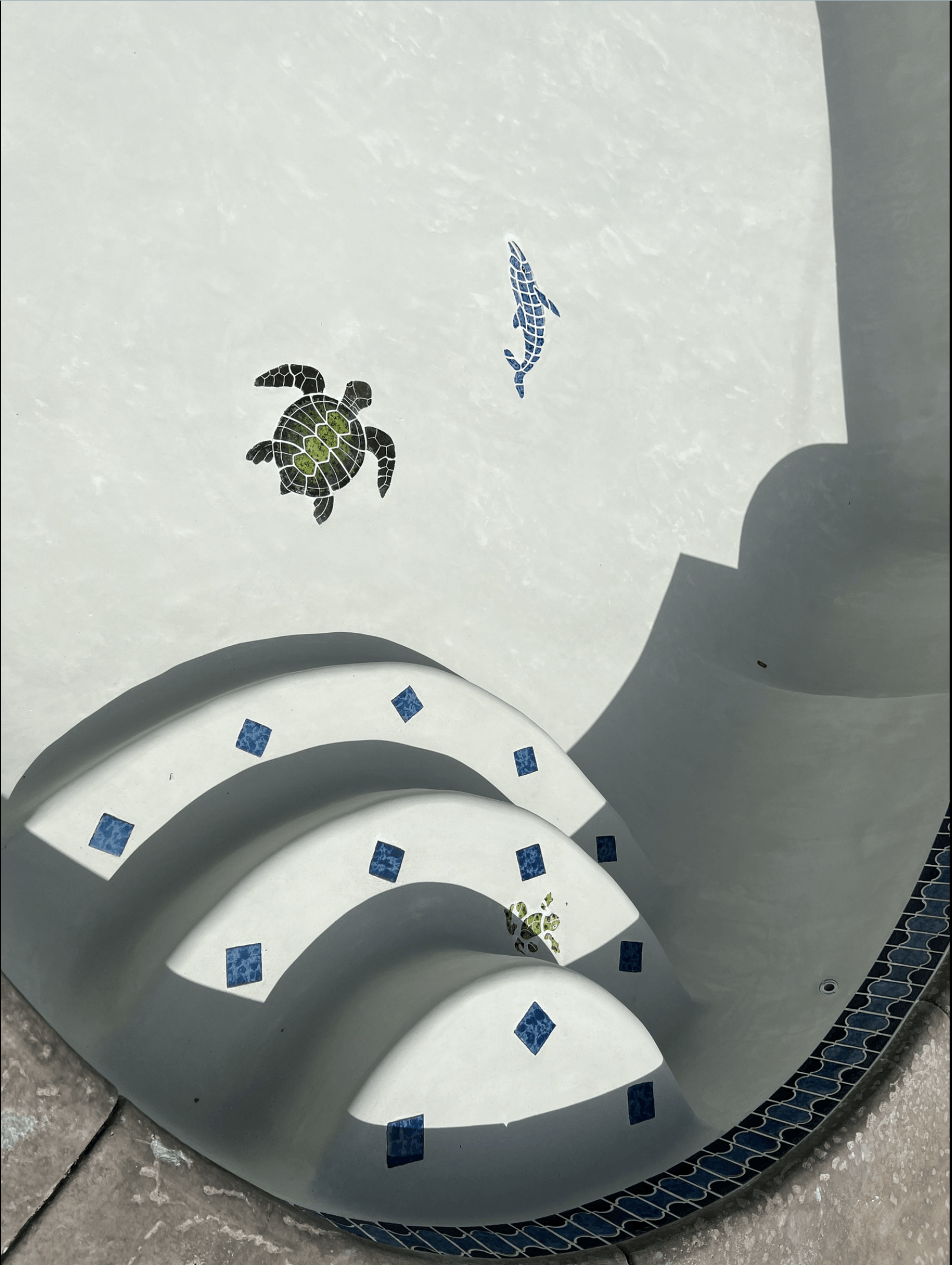 See Our Work | Riverside, CA | Moe’s Pool and Spa