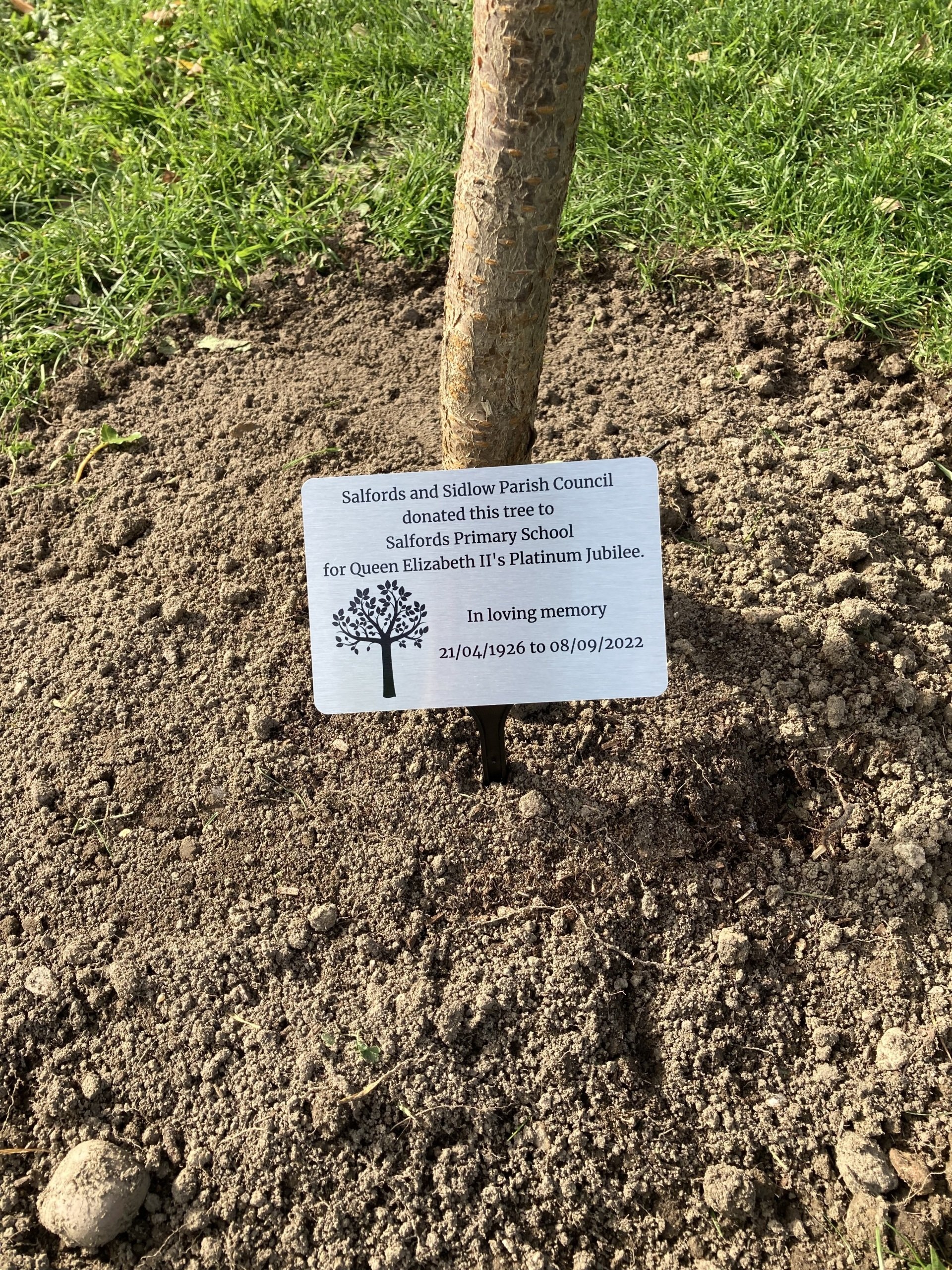 Donated trees to Salfords Primary School