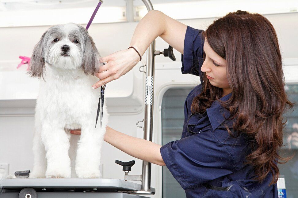 Pet Grooming Services | Backwoods Feed | Ave Maria, FL