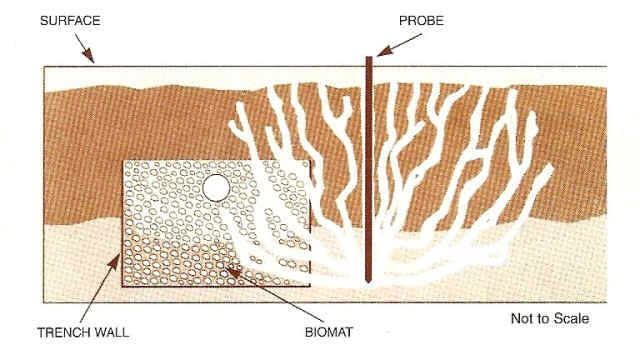 Terralift Soil Rejuvenation | Big Island of Hawaii