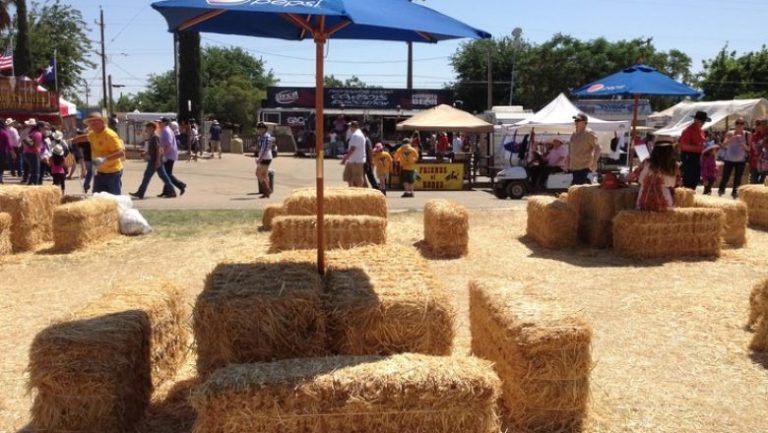 Party Equipment & Food Hire | Funtacee Parties |Gallery