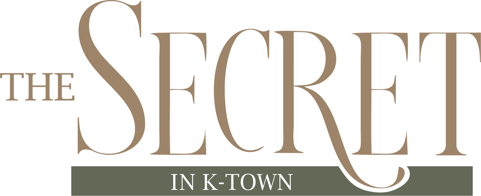 The SECRET in K-Town | Largest Apartments in K-Town, LA