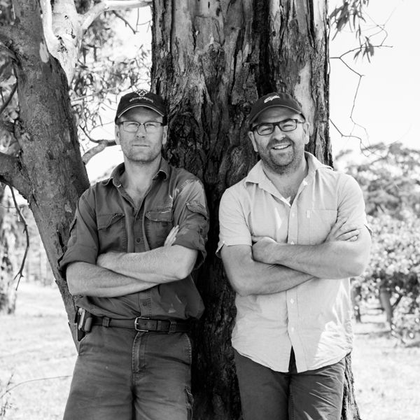 Discover McLaren Vale Wines | Hither & Yon | EPICUREAN WINES