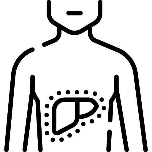 Alto Imaging - Ultrasound