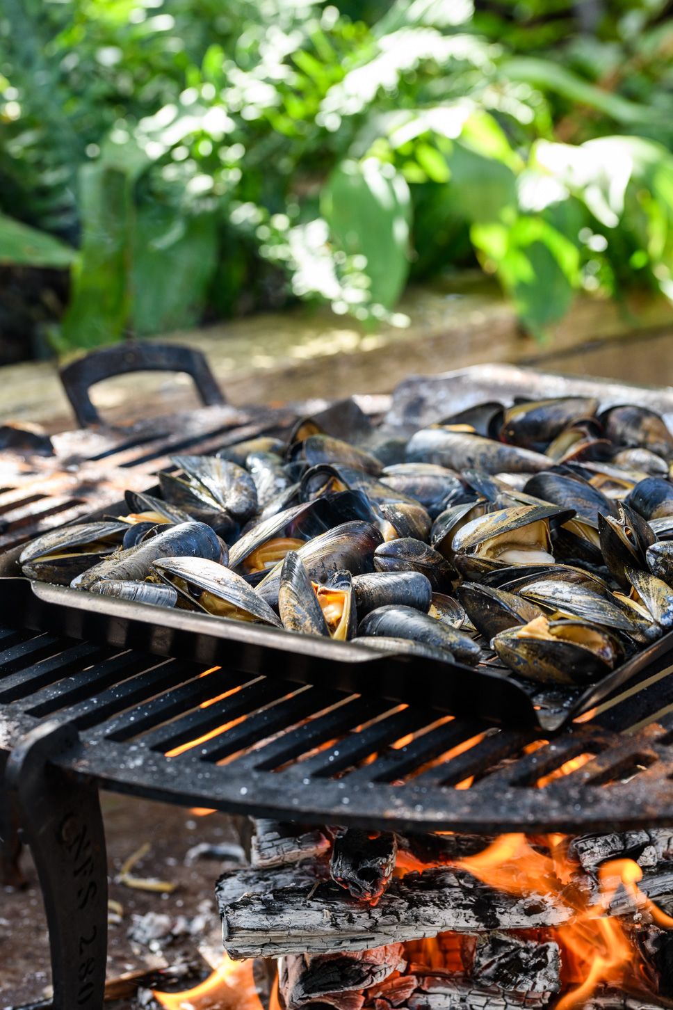 ADVANCED FIRE COOKING, BARBECUE SKILLS, BBQ, FIRE LIGHTING, BRISTOL