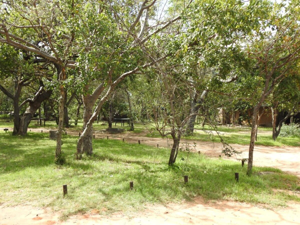 Campsite Accommodation | Farmhouse | Matopos