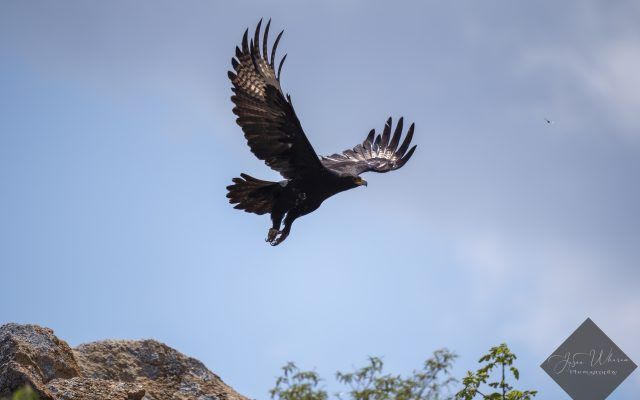 Matopos Wildlife Reserve - Attractions in Matobo Hills