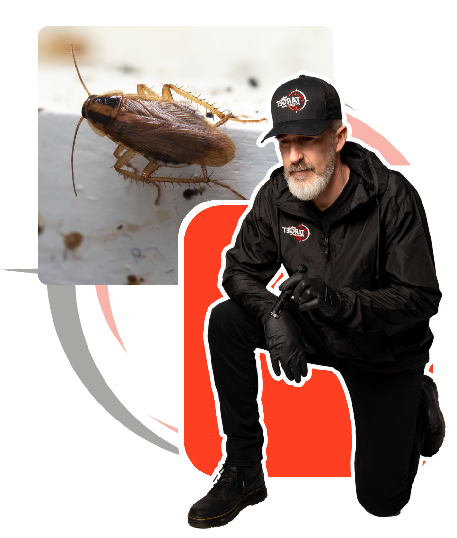 Cockroach Control Services | Target Pest Control