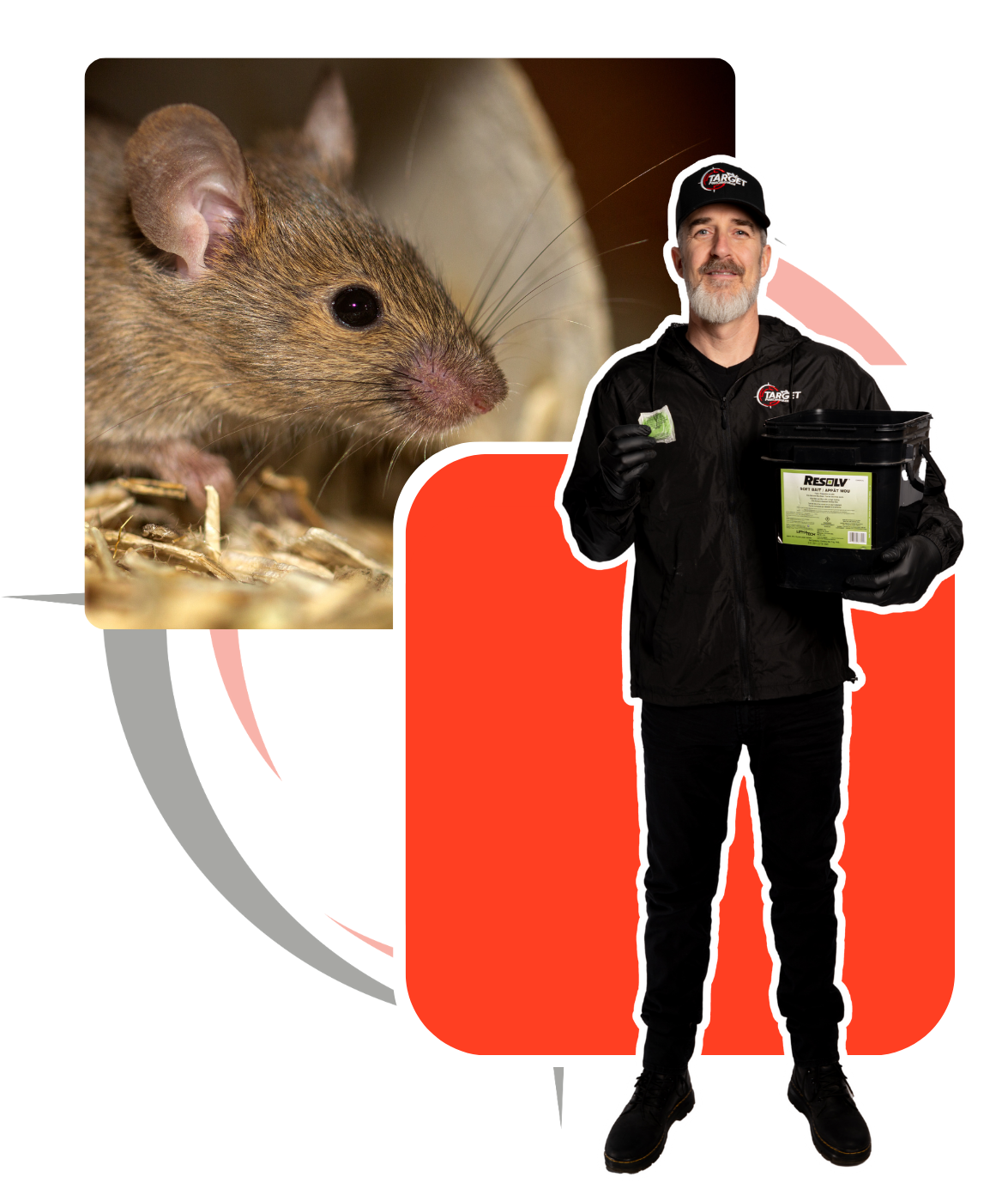 Cochrane Pest Control Service | Target Pest Control