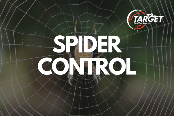 Your Local Exterminators | Target Pest Control